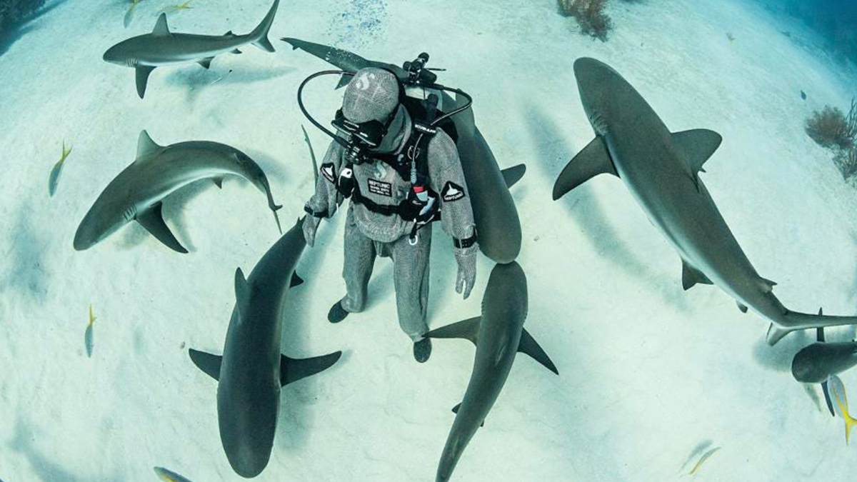 Julie Andersen, la mujer que 'susurraba' a los tiburones - Nautik Magazine