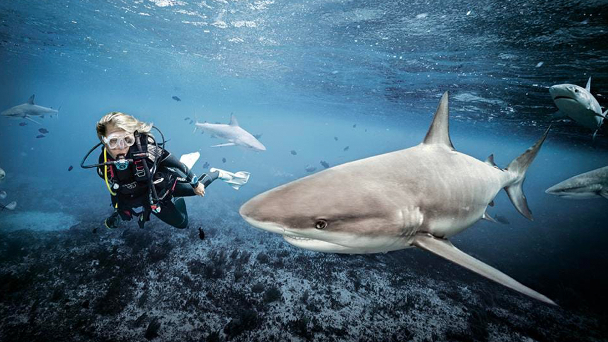 Julie Andersen, la mujer que 'susurraba' a los tiburones - Nautik Magazine